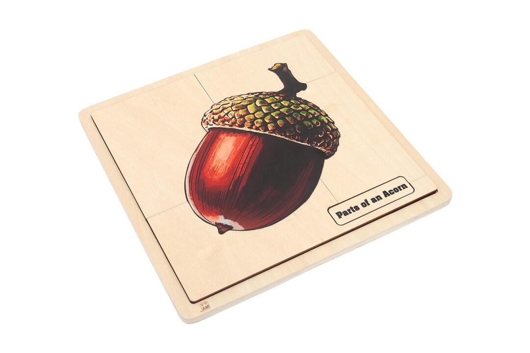 Parts of an Acorn Puzzle | Acorn Puzzle | Montessori Puzzles ...