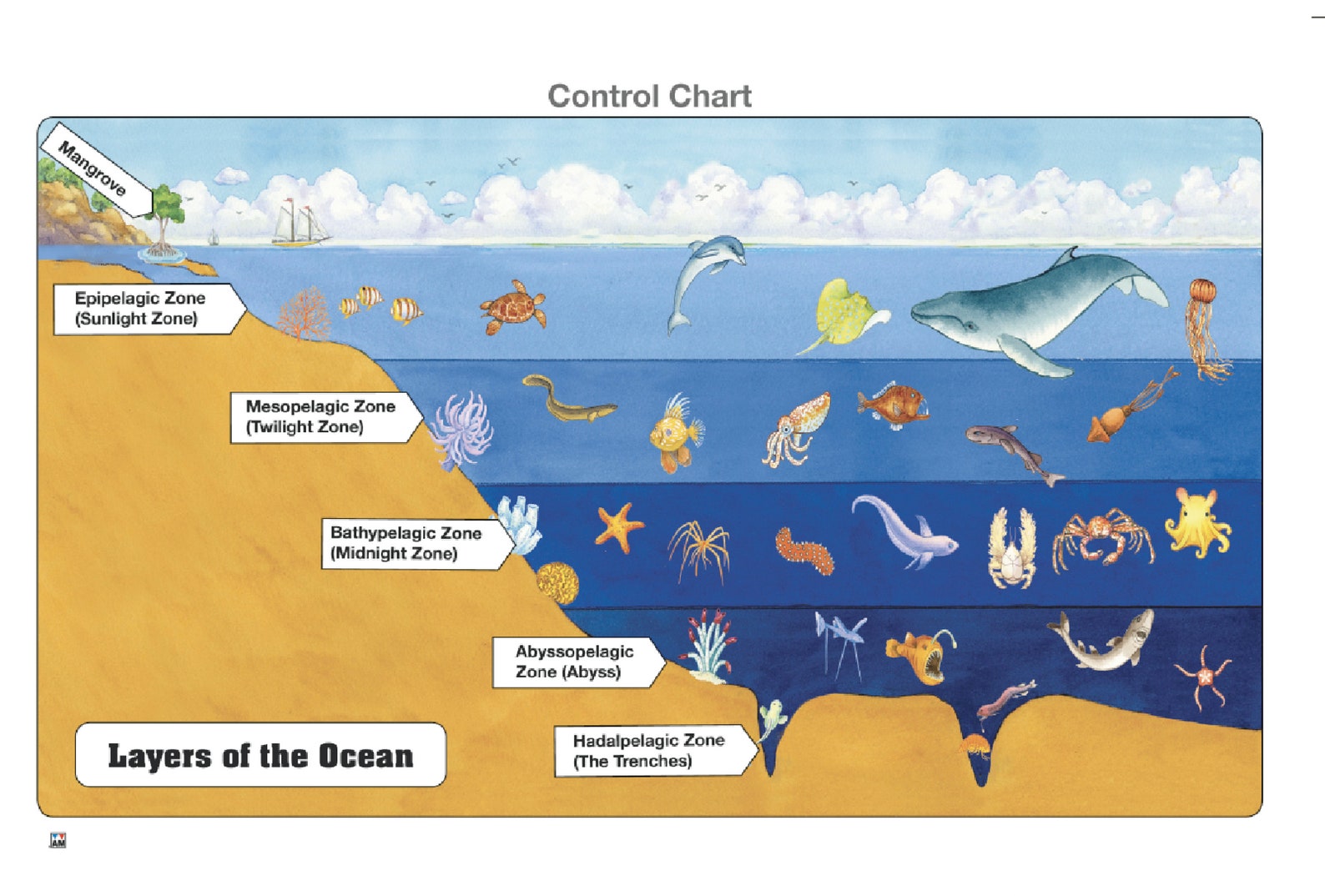 Montessori Layers of the Ocean Puzzle Montessori Science | Etsy
