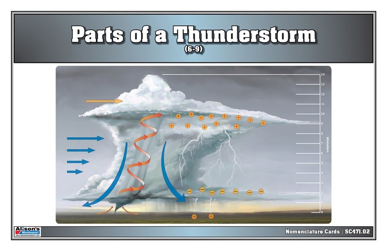 Parts of a Thunderstorm Puzzle With Nomenclature Cards (6-9 ...