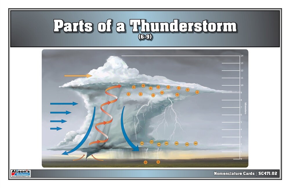 Parts of a Thunderstorm Puzzle With Nomenclature Cards (6-9 ...