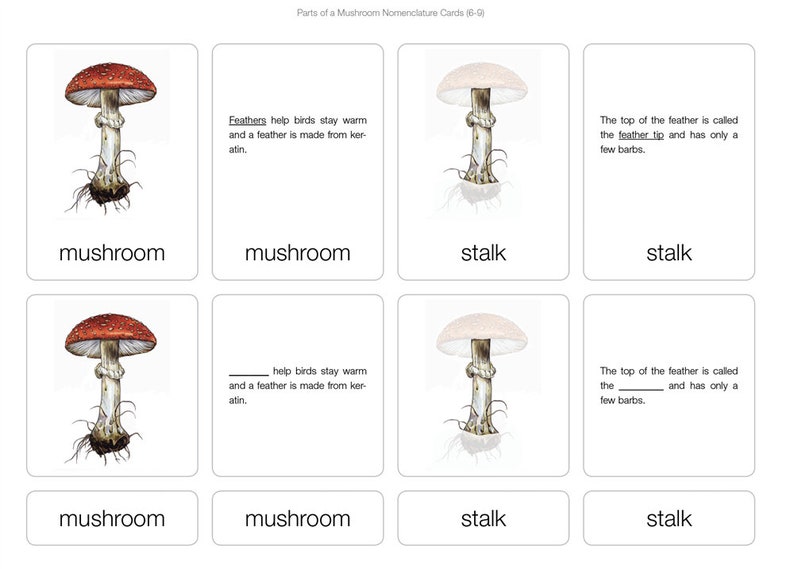 Parts of a Mushroom Puzzle With Nomenclature Cards (6-9) | Montessori ...