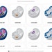 Parts of an Animal Cell Puzzle With Nomenclature Cards (3-6 ...