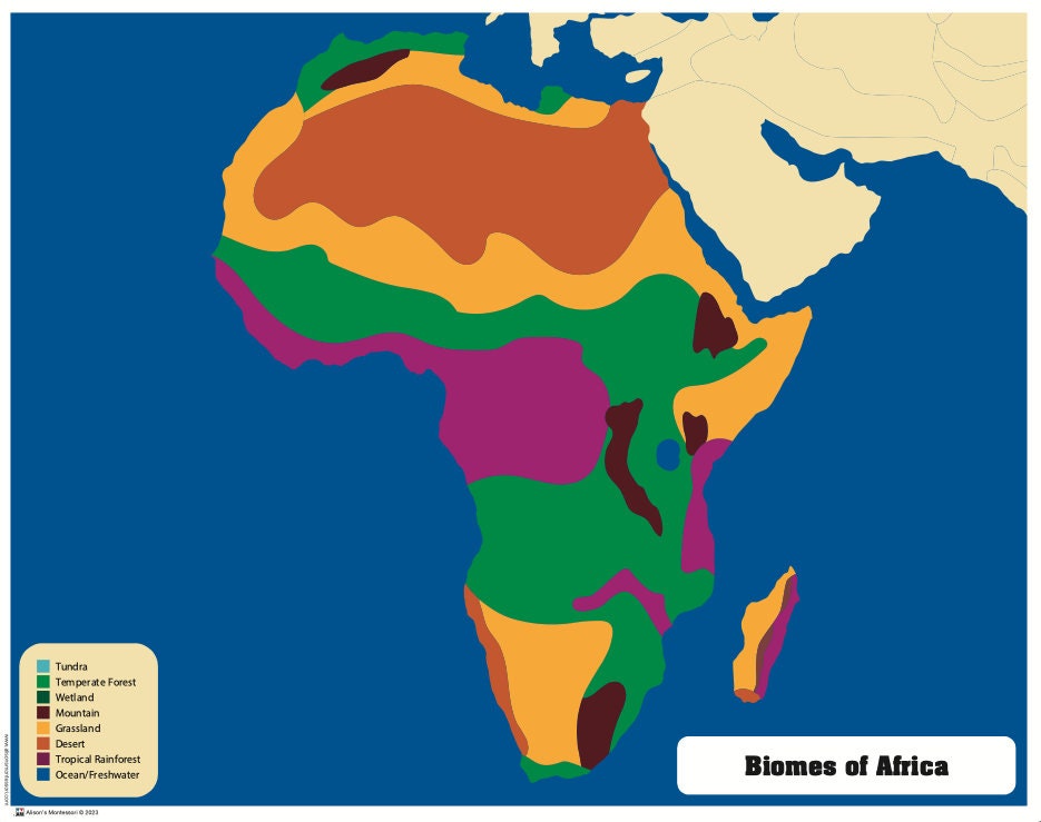 Biomes Puzzle Map of Africa Montessori Material Montessori Geography ...