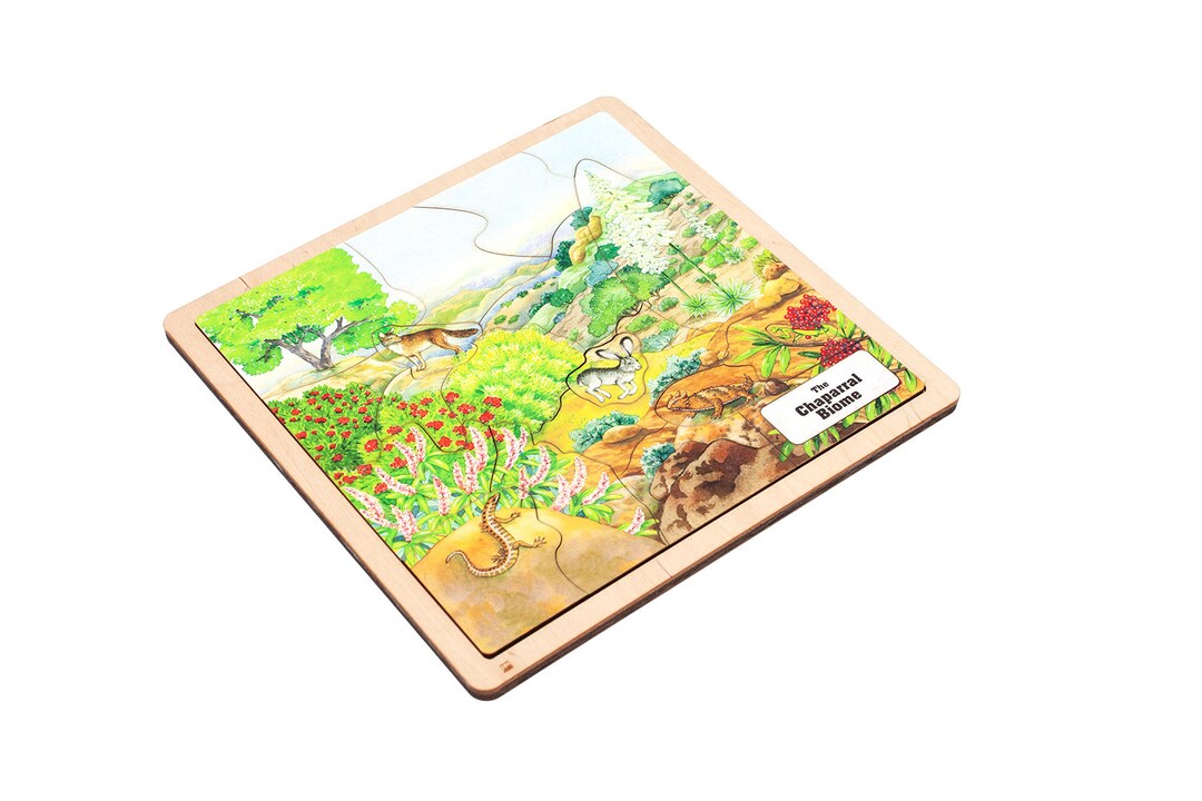 Chaparral Biome Puzzle | Montessori Puzzles | Montessori Printable ...