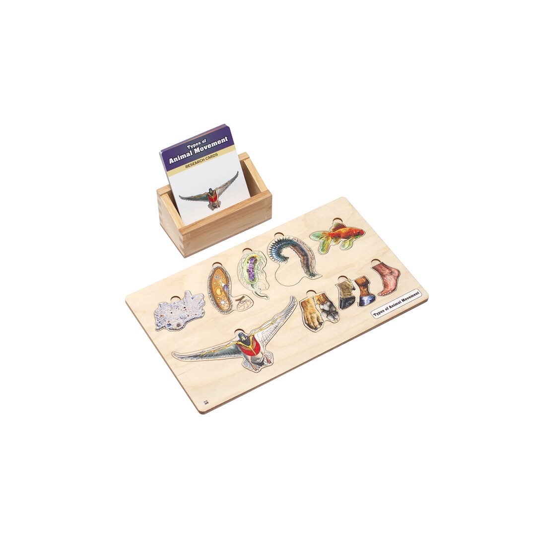 Types of Animal Movement Puzzle | Montessori Materials | Montessori ...