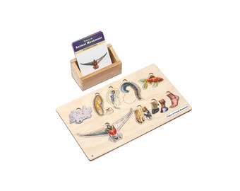 Montessori Zoology | Etsy