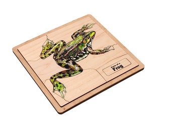 Parts of a Frog Nomenclature 3-part Cards Montessori Zoology Printable ...
