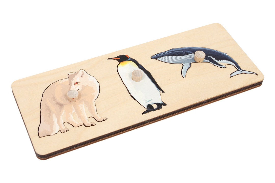 Animals of Antarctica Puzzle Montessori Materials Infant and Toddler ...