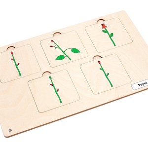 Types of Buds Puzzle | Montessori Materials | Montessori Botany ...