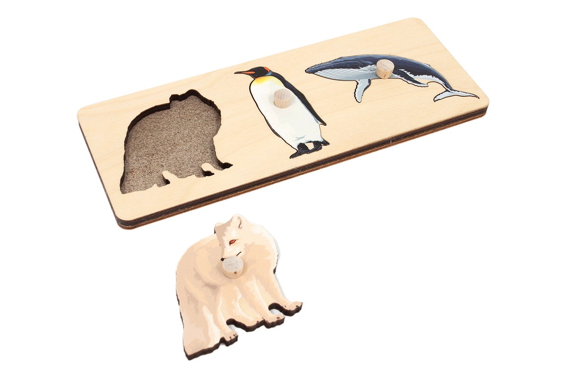 Antarctica Animals Puzzle Set: Montessori Infant Toddler Toy - Etsy