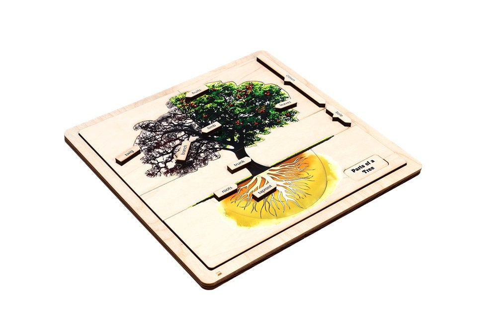 Parts of a Tree Puzzle With Nomenclature Cards printed 3-6 Montessori ...