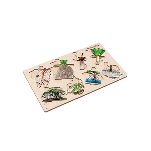 Types of Roots Puzzle | Montessori Materials | Montessori Botany ...