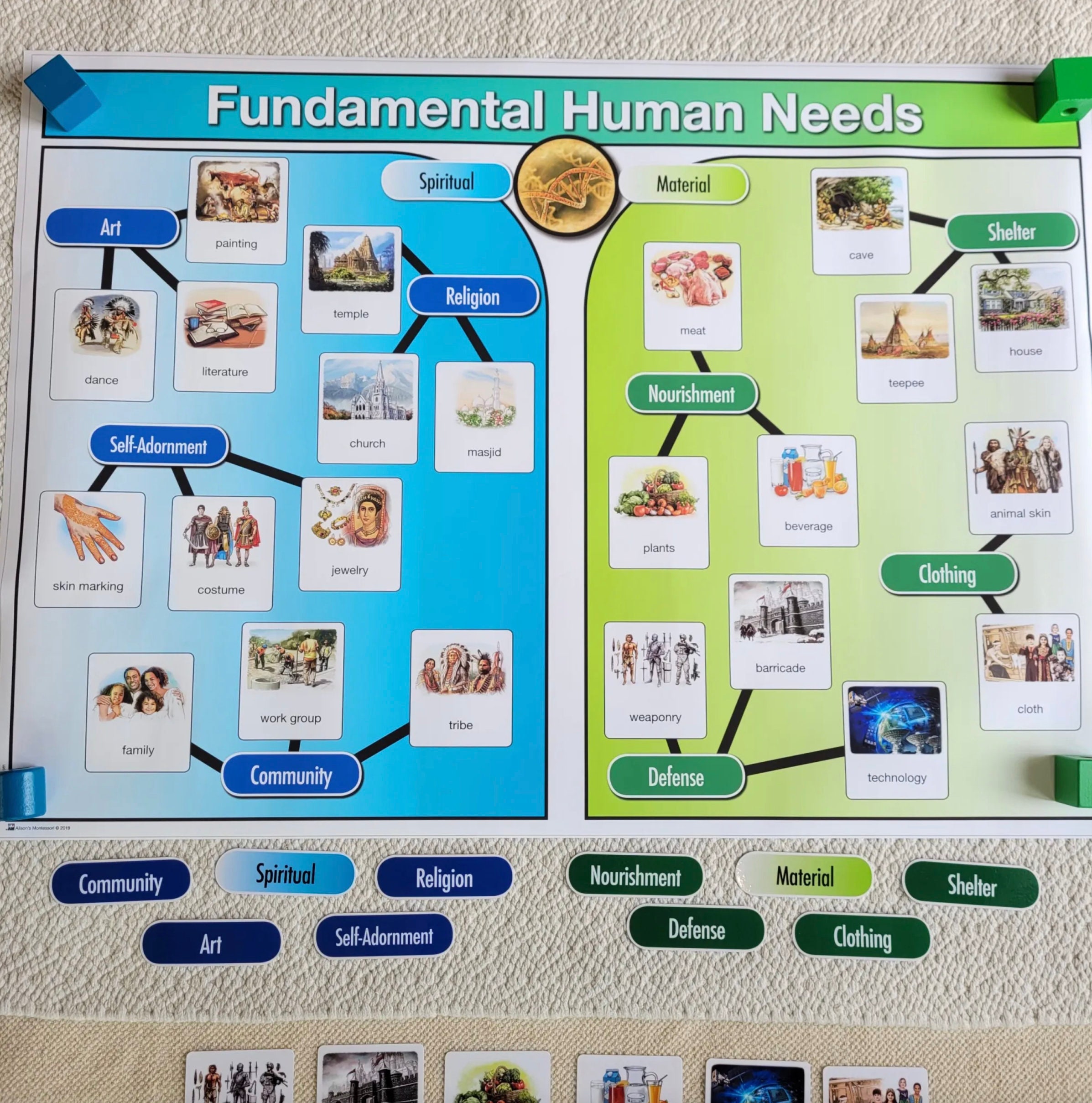 Fundamental Human Needs Montessori Science Chart: Educational Printable ...