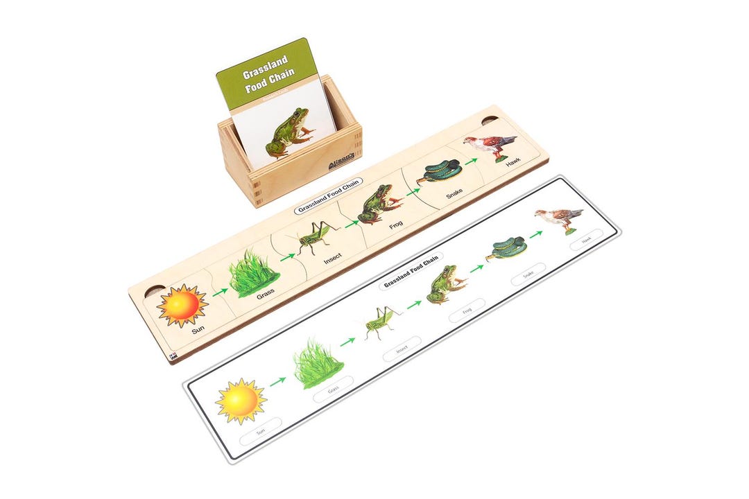 Grassland Food Chain Montessori Puzzle: Wooden Educational Toy - Etsy