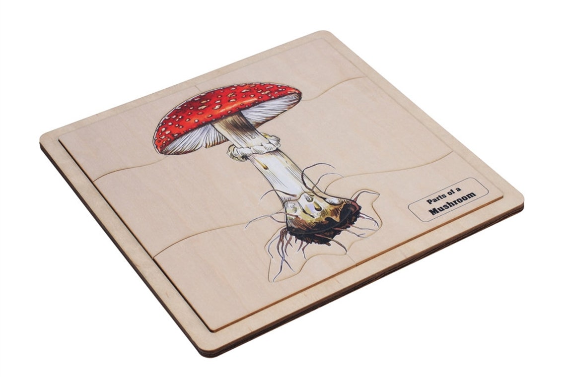 Montessori Parts of a Mushroom Puzzle Montessori Botany | Etsy