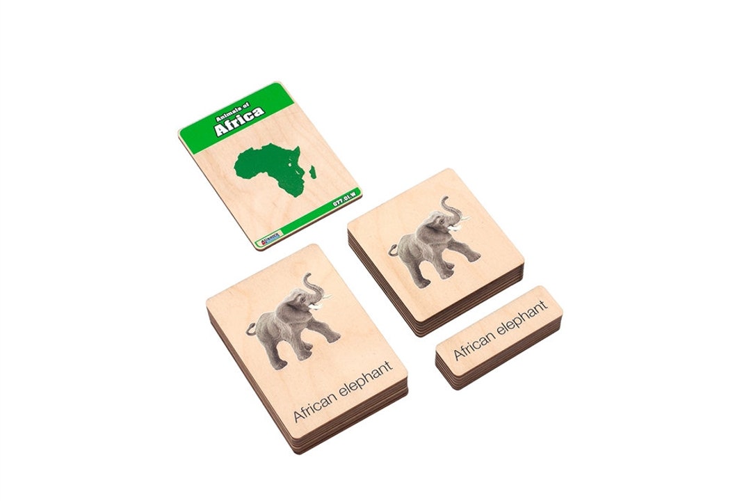 Animals of Africa Wooden Nomenclature Cards | Montessori Printable ...