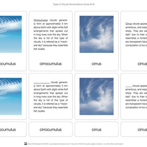 Types of Clouds Puzzle With Nomenclature Cards (6-9) | Montessori ...