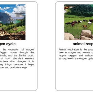 The Oxygen Cycle - Complete Set | Montessori Materials | Montessori ...