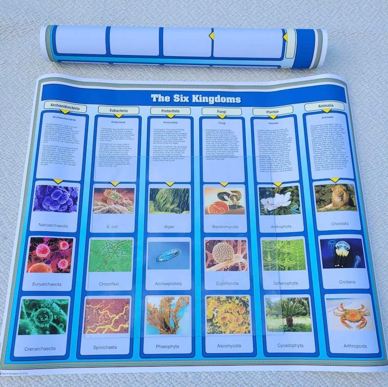 The Six Kingdoms Chart Complete Set | the Six Kingdoms Printable ... The Six Kingdoms Chart Complete Set | the Six Kingdoms Printable ...