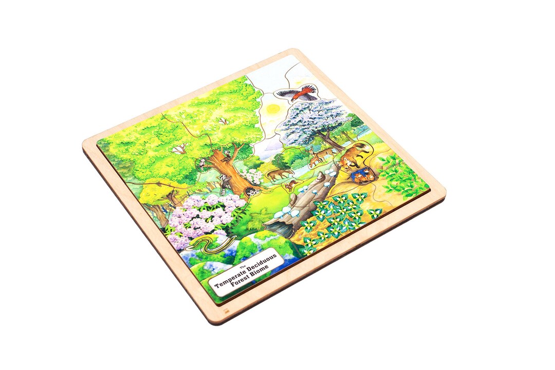 Temperate Deciduous Forest Biome Puzzle | Forest Biomes | Forest ...