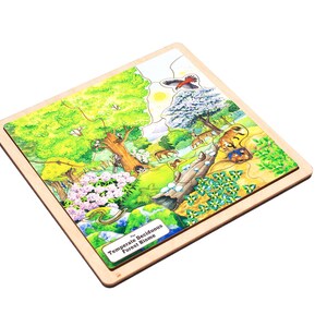 Temperate Deciduous Forest Biome Puzzle | Forest Biomes | Forest ...