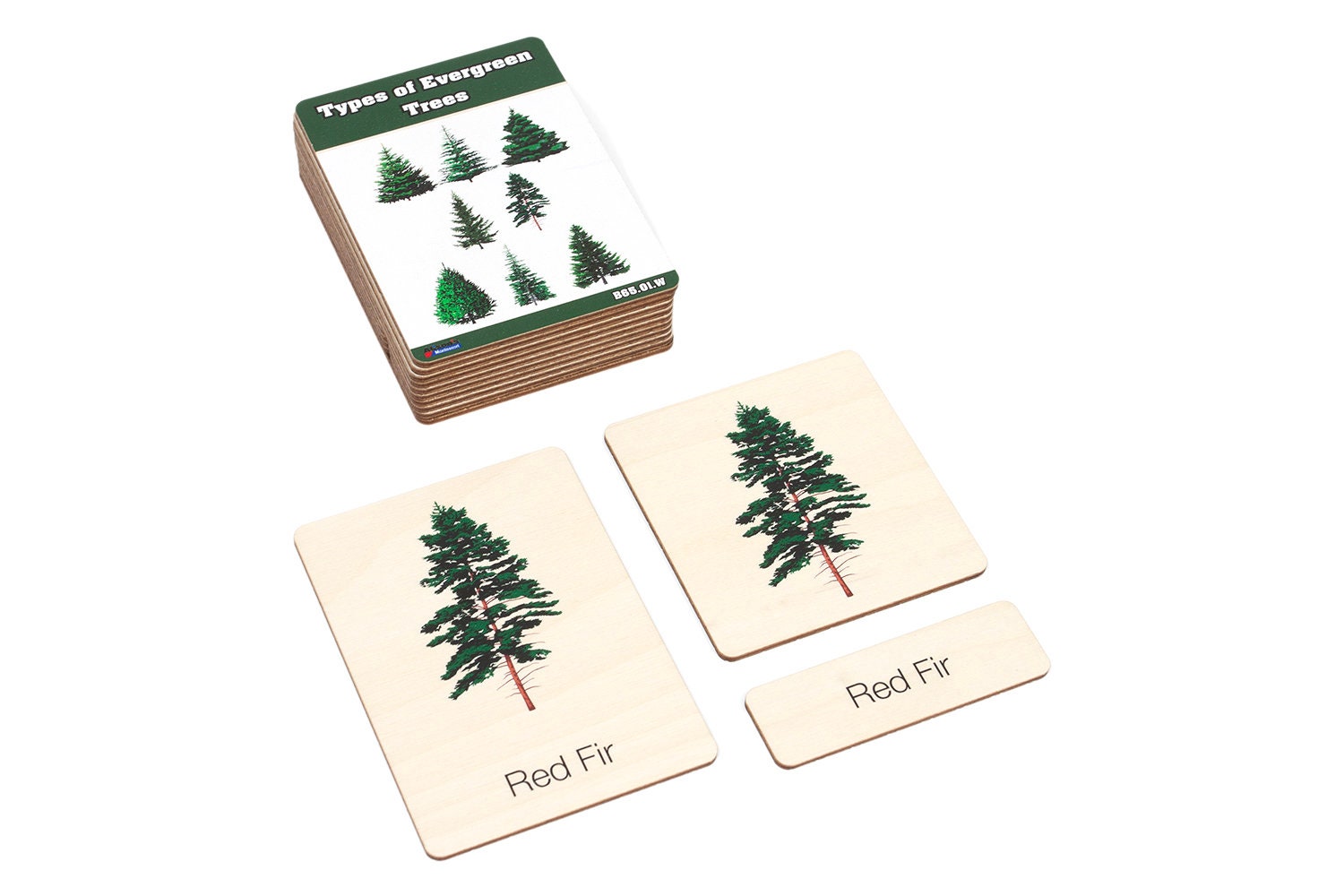 Types of Evergreen Trees Wooden Nomenclature Cards (3-6) | Montessori ...