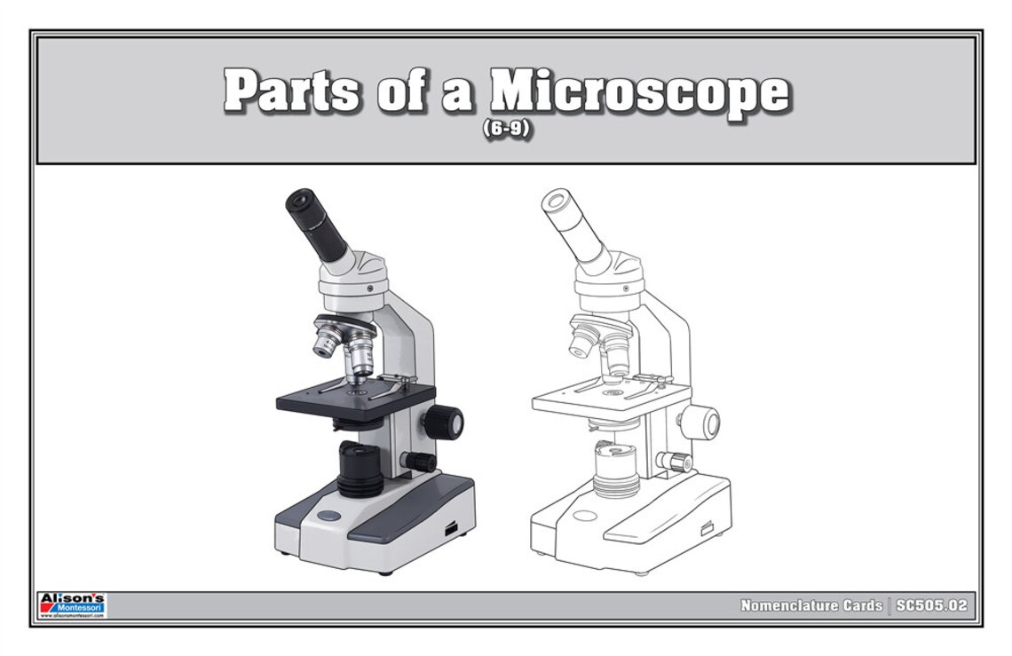 Microscope Puzzle: Montessori Nomenclature Cards (6-9) - Etsy