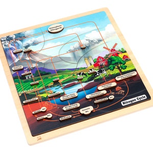 Parts of a Nitrogen Cycle Puzzle | Montessori Materials | Montessori ...