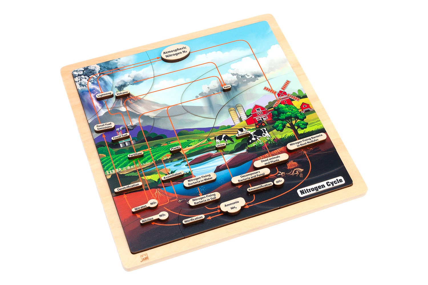 The Nitrogen Cycle Complete Set Montessori Materials Montessori Science ...