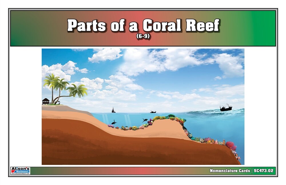Parts of a Coral Reef Puzzle With Nomenclature Cards 6-9 | Montessori ...