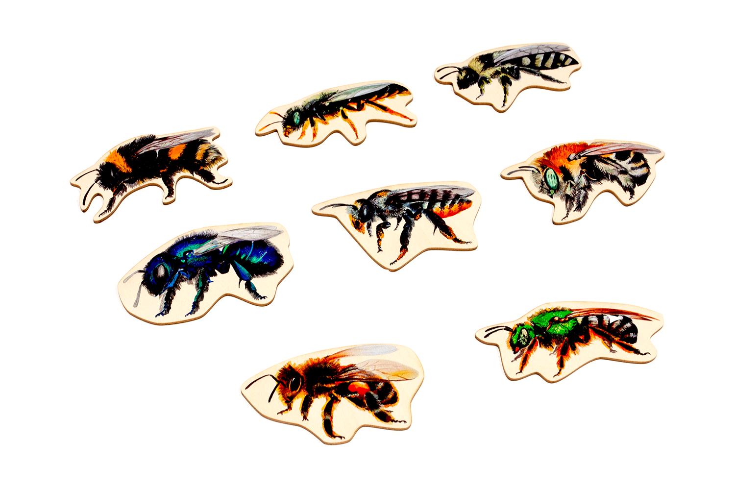 Types of Bees Puzzle With Nomenclature Cards 6-9 | Montessori Materials ...