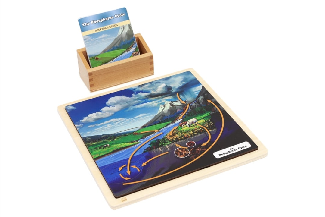 The Phosphorus Cycle - Complete Set | Montessori Material | Montessori ...
