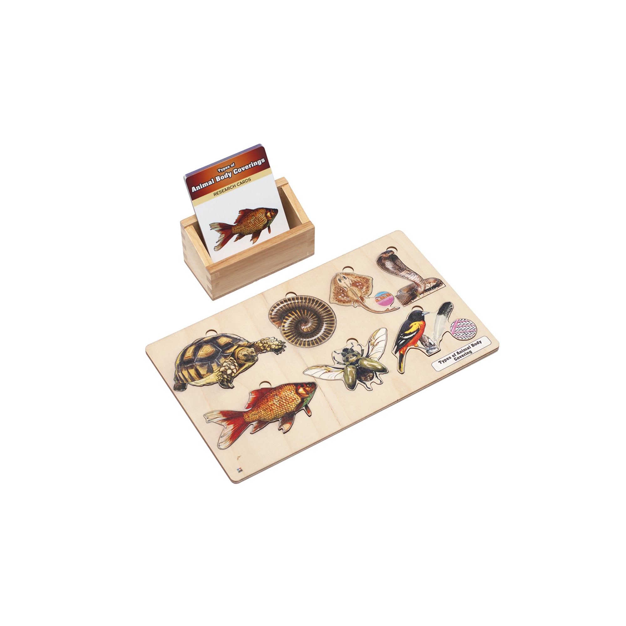 Types of Animal Body Covering Puzzle Montessori Zoology Puzzles ...