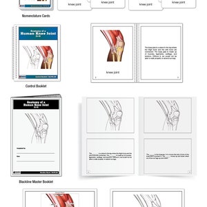 Anatomy of a Human Knee Joint Puzzle With Nomenclature Cards (6-9 ...