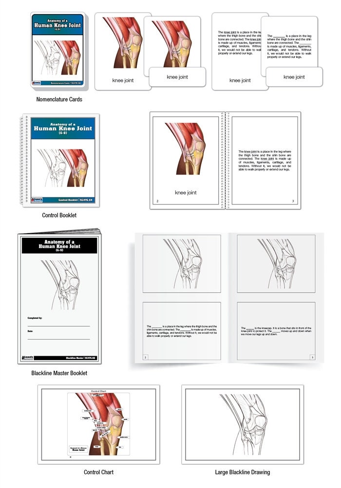 Anatomy of a Human Knee Joint Puzzle With Nomenclature Cards 6-9 ...