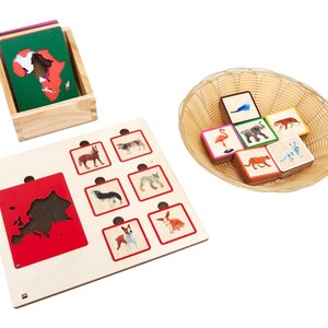 Continents and Their Animals Sorting Tiles | Animals of the World ...