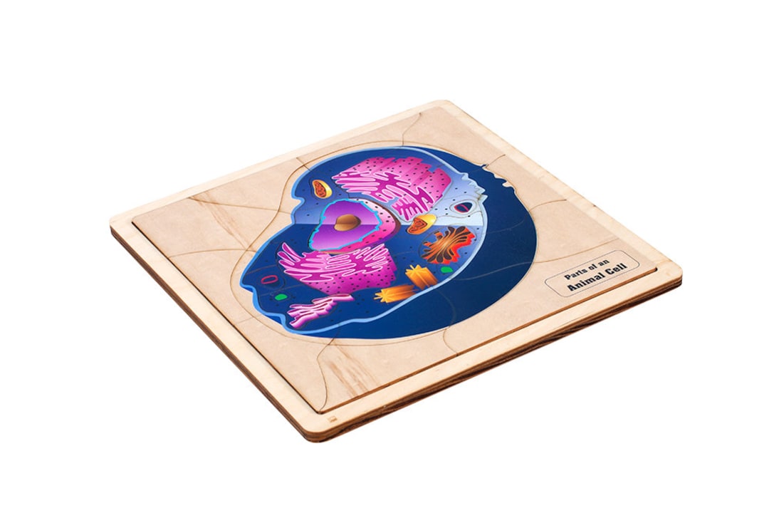 Montessori Parts of an Animal Cell Puzzle - Anatomy of Animal Cell ...
