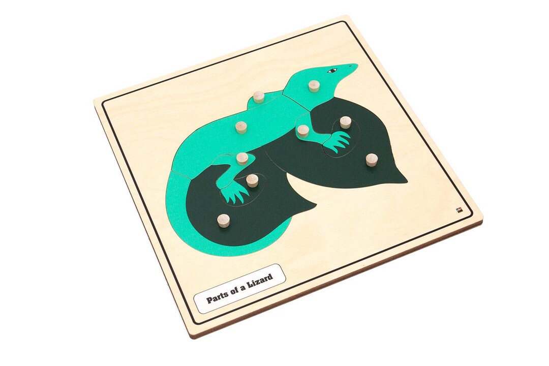 Parts of a Lizard Knobbed Puzzle | Montessori Puzzle | Infant & Toddler ...