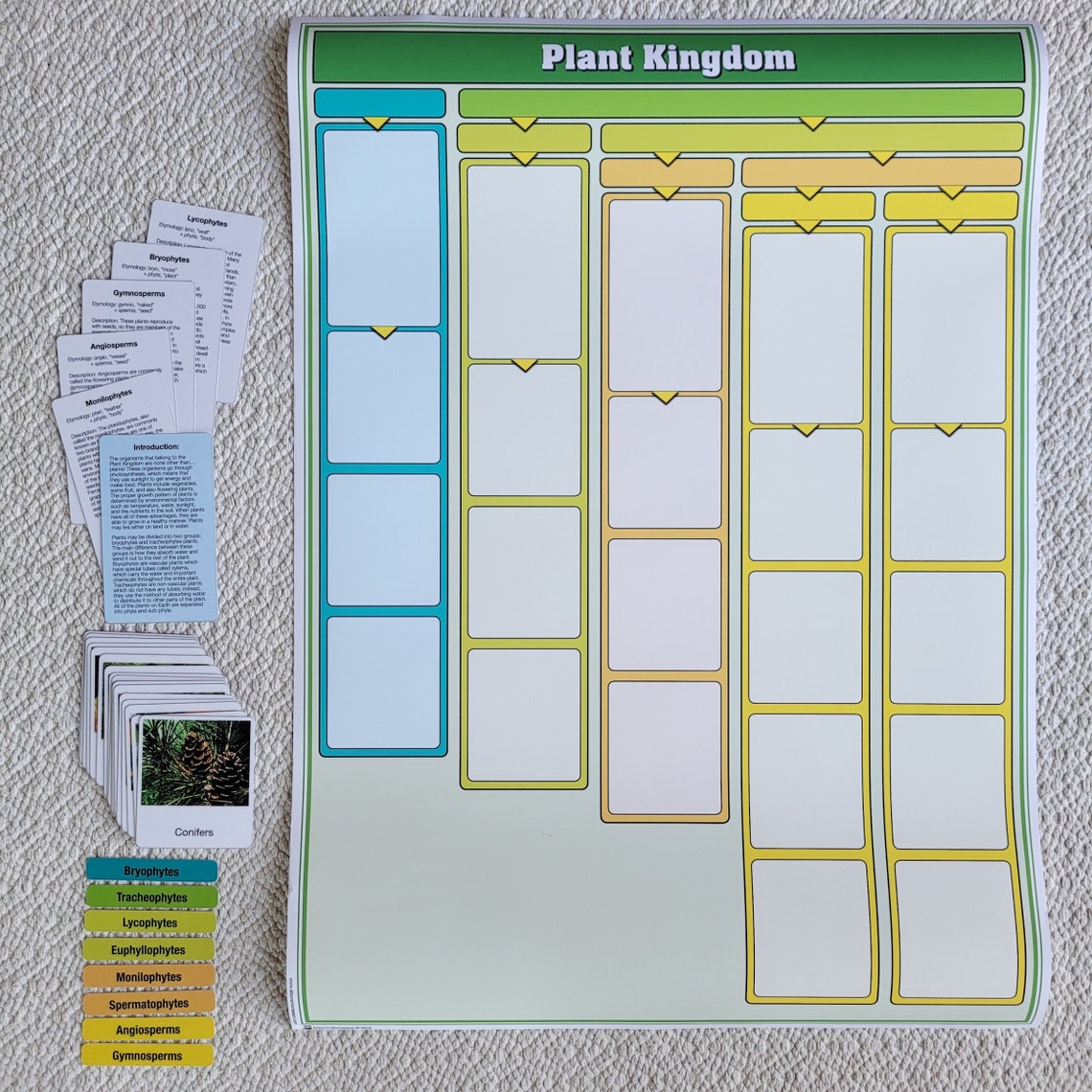 Plant Kingdom Chart Complete Set | Montessori Kingdoms | Kingdom Chart ...
