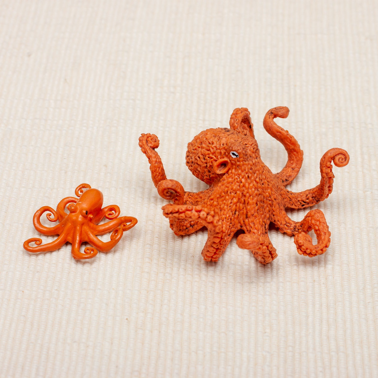 Life Cycle of an Octopus Octopus Life Cycle Life Cycle Puzzle Infant ...