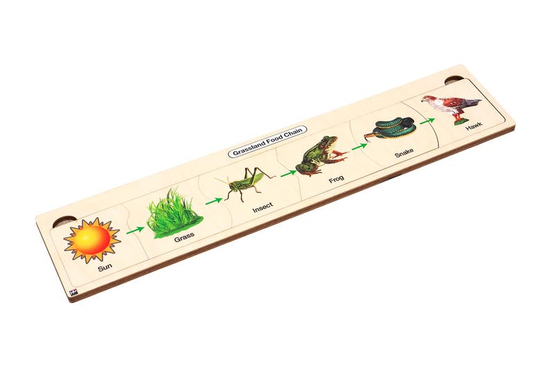 Grassland Food Chain Puzzle | Montessori Puzzles | Food Chain Puzzle ...