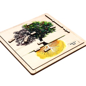 Parts of a Tree Puzzle, Montessori Wooden Puzzles, Montessori Materials ...