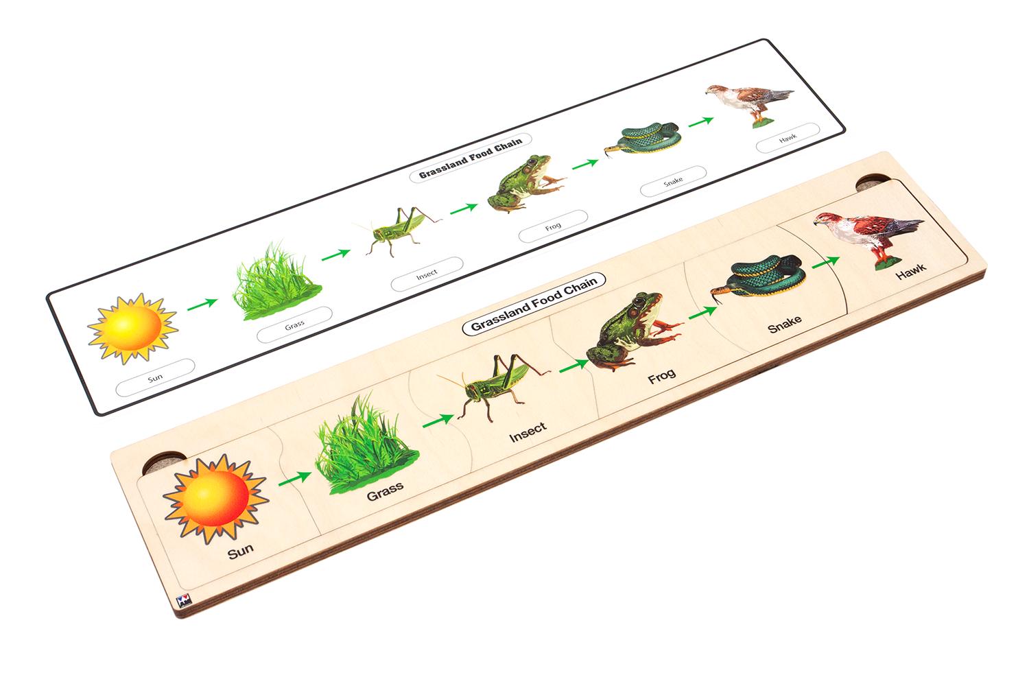 Grassland Food Chain Puzzle | Montessori Puzzles | Food Chain Puzzle ...