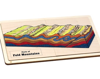 Parts of a Flamingo Nomenclature 3-part Cards Montessori - Etsy