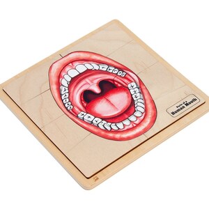 Parts of a Human Mouth Puzzle With Nomenclature Cards (3-6) (printed ...