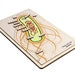 Parts of E. Coli Bacteria Puzzle With Nomenclature Cards (6-9 ...
