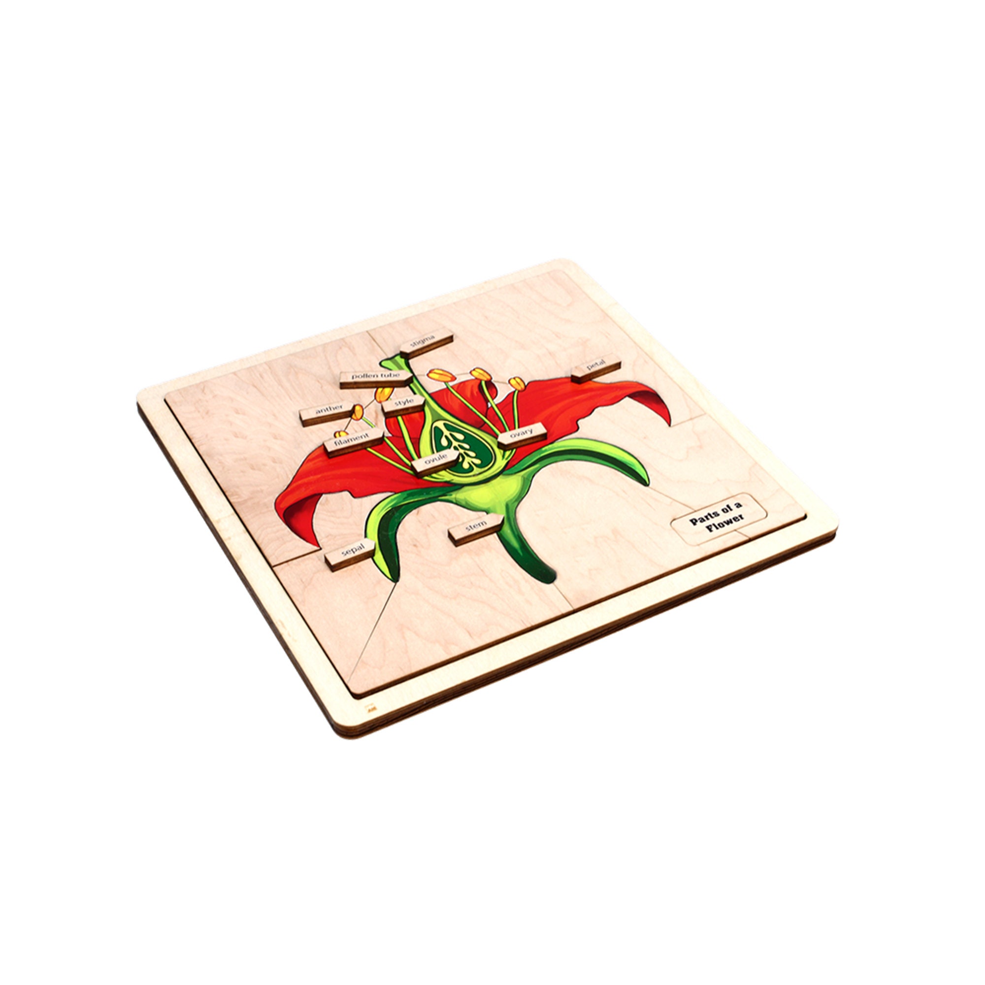 Parts of a Flower Puzzle | Montessori Wooden Puzzles | Montessori ...