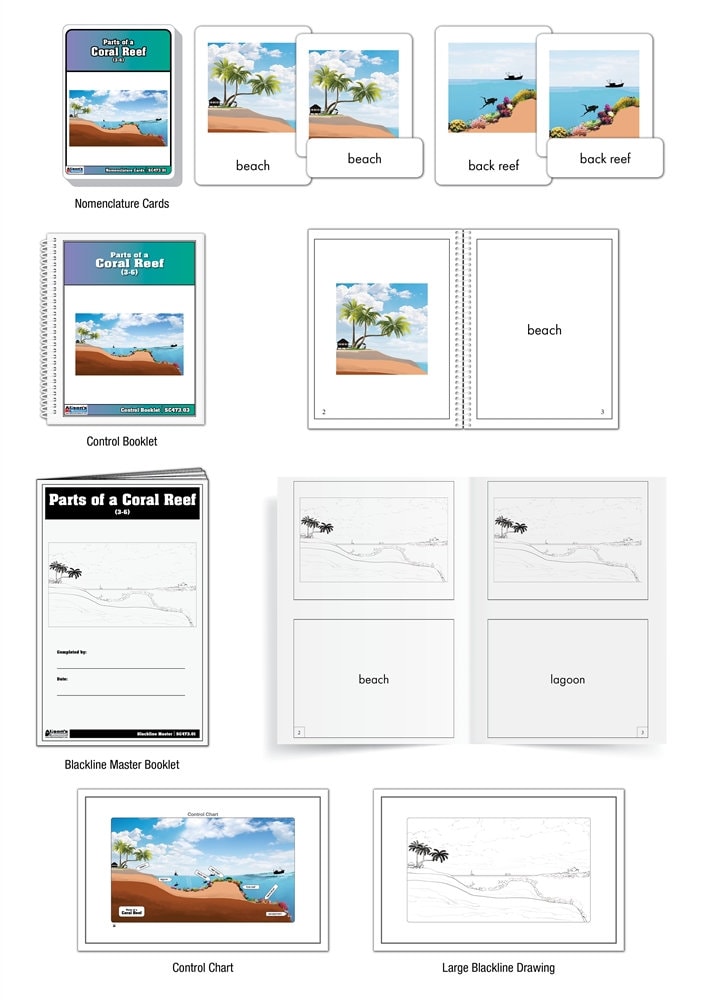 Parts of a Coral Reef Puzzle With Nomenclature Cards 3-6 | Montessori ...