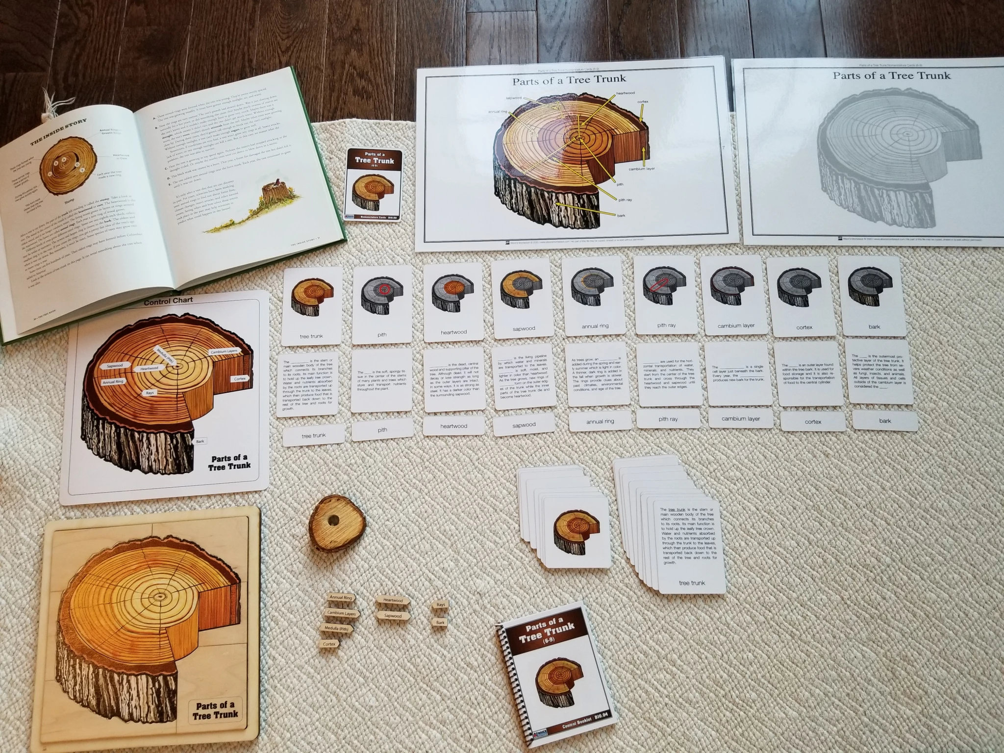 Parts of a Tree Trunk Puzzle With Nomenclature Cards 6-9 | Montessori ...
