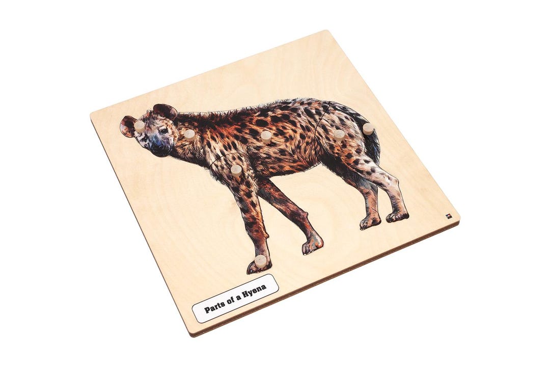 Parts of a Hyena Puzzle With Nomenclature Cards (3-6) (printed ...